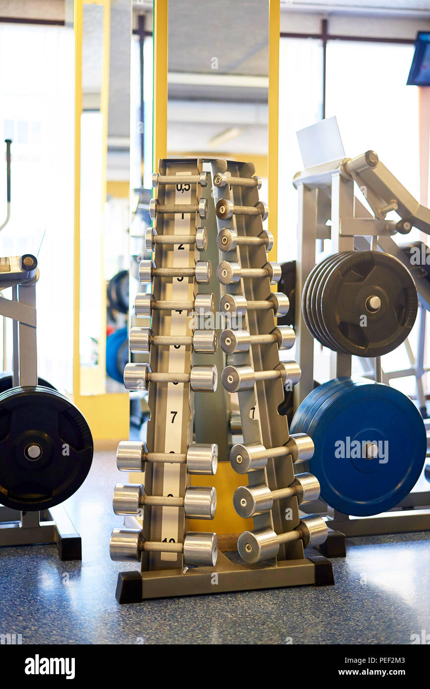 Stand with dumbbells in the sports club Stock Photo - Alamy