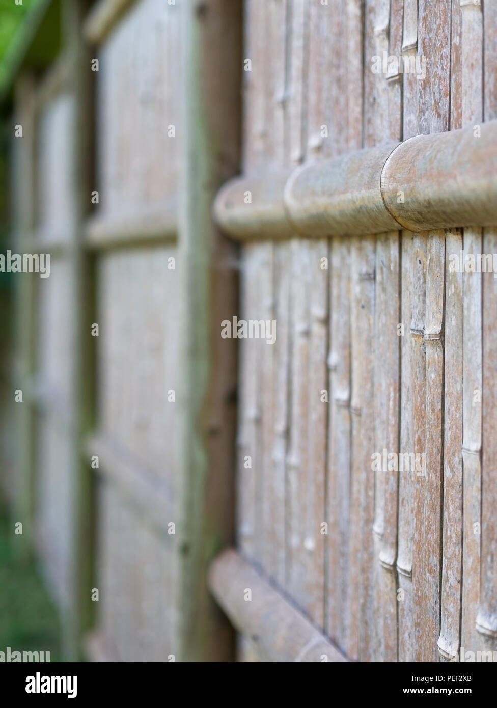 Perspective view of Japanese bamboo palisade. Portrait view Stock Photo ...