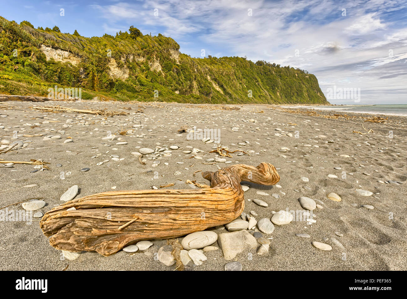 Driftwood and pebbles on Okarito Beach Stock Photo - Alamy
