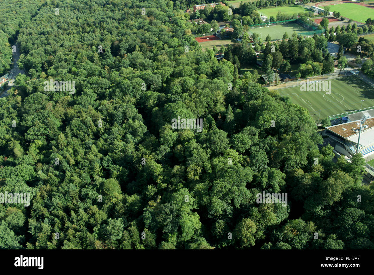 Amazing Landscape view on the beautiful forests, alpine mountains and ...