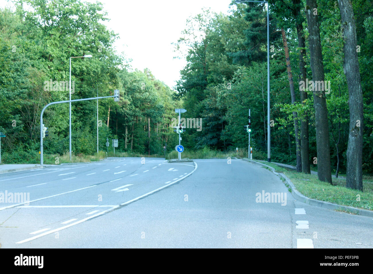 Germany Stuttgart city jungle on the hills and mountains Lush Tropical ...