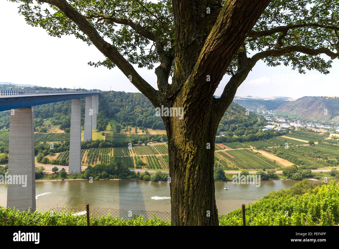 mosel valley bridge in germany Stock Photo - Alamy