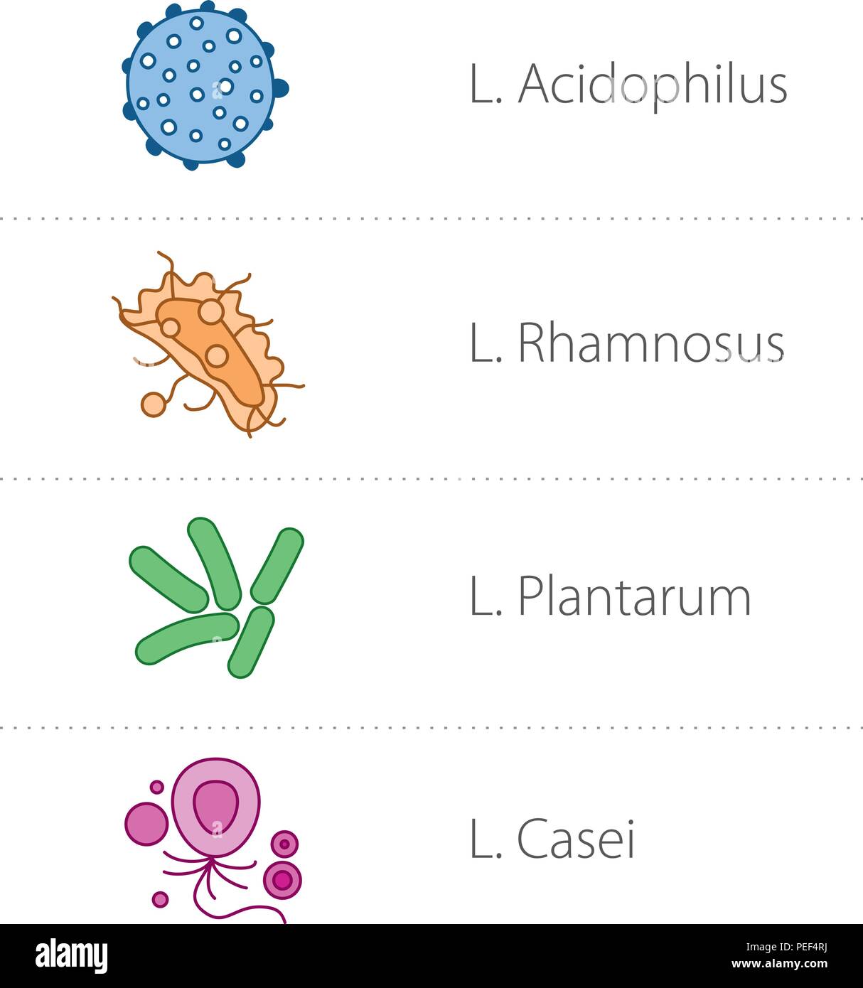 Acidophilic Bacteria