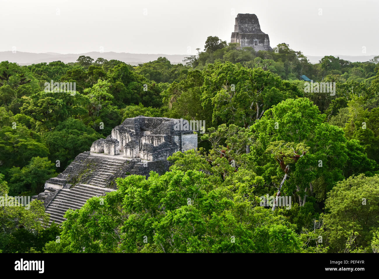 Tikal National Park, Guatemala Stock Photo - Alamy