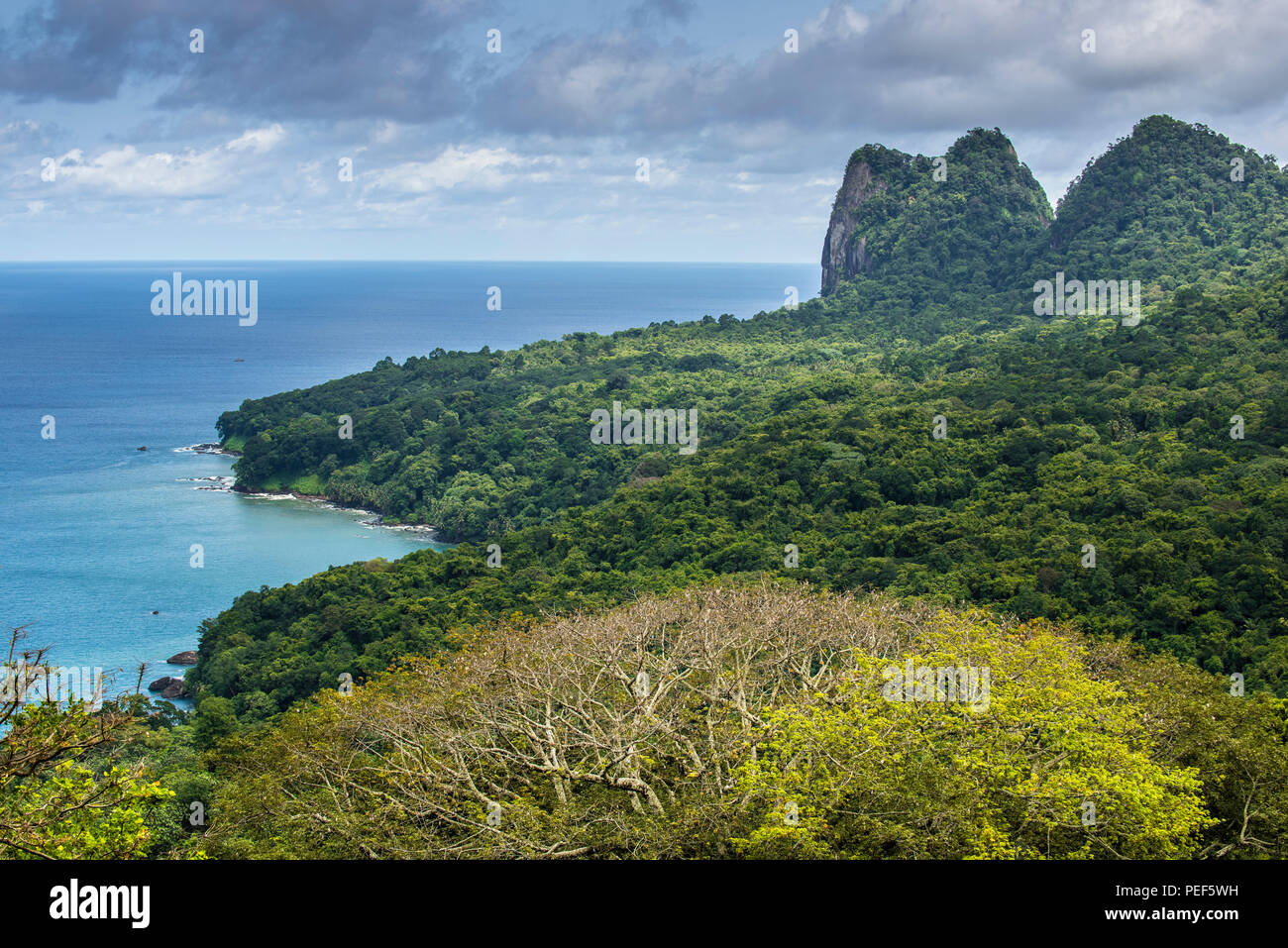 Wooded mountain landscape with dense vegetation on the coast, Príncipe ...