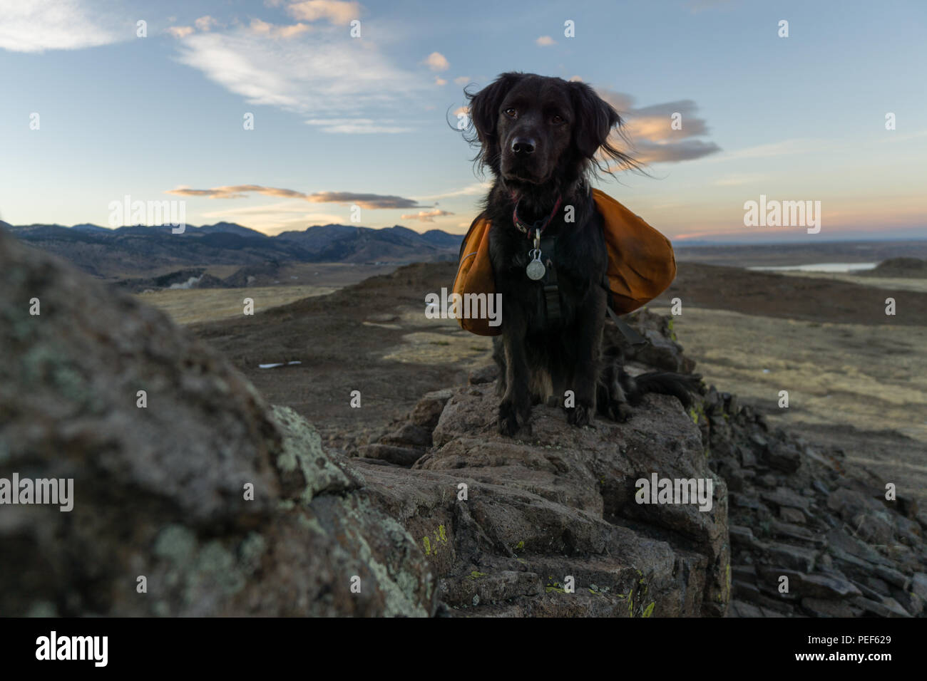 North Table Mountain - Golden, Colorado Stock Photo - Alamy