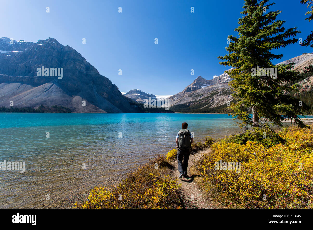 Hiker at Bow Lake, Bow Glacier, Banff National Park, Canadian Rockies ...