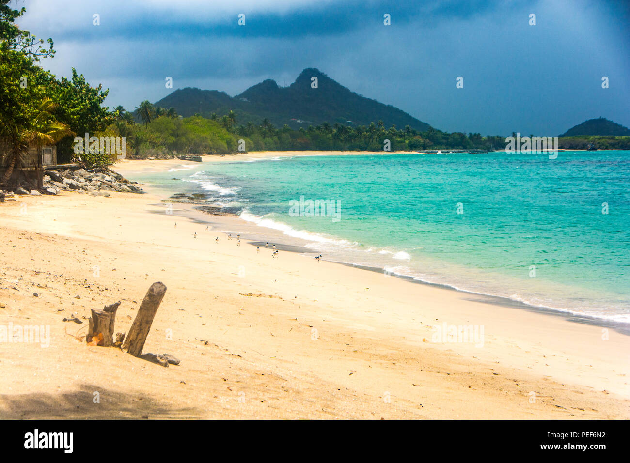 Carriacou Island beach, Greneda Stock Photo - Alamy