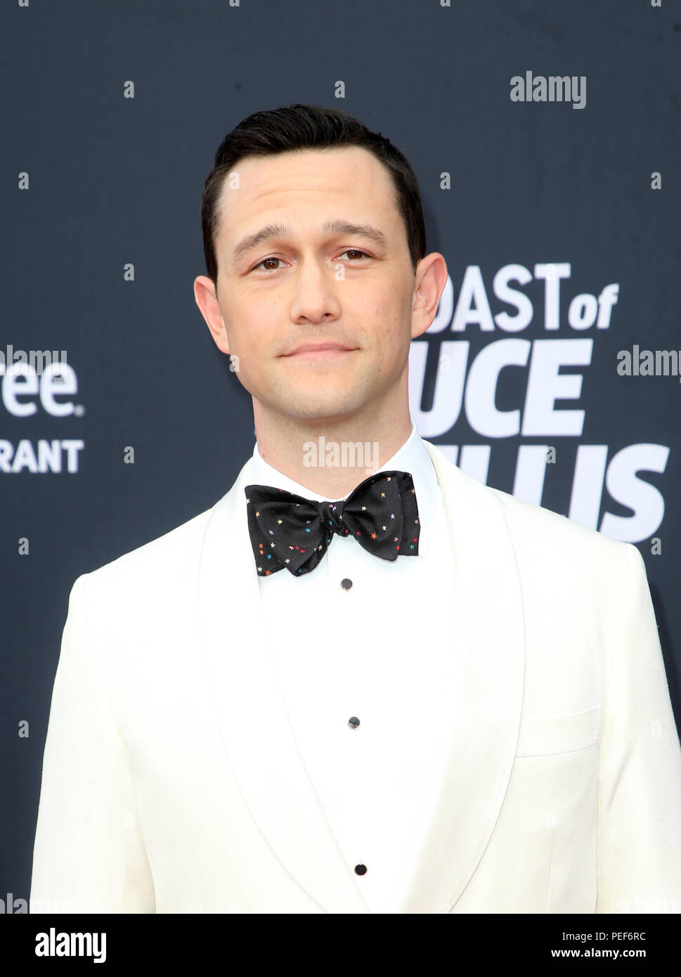 Joseph Gordon Levitt And Bruce Willis High Resolution Stock Photography ...