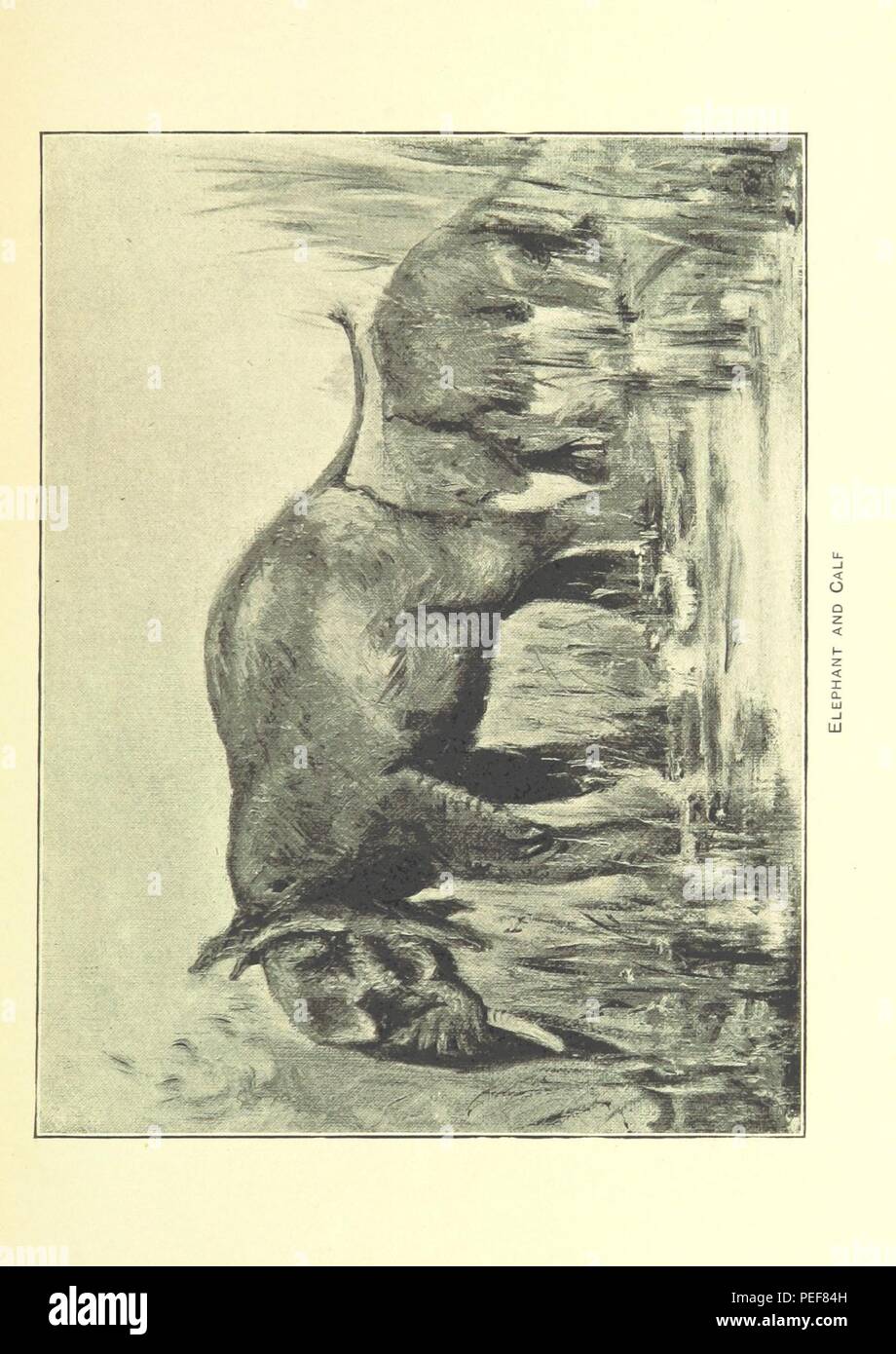 Image taken from page 85 of 'Seventeen Trips through Soma u0301liland ...