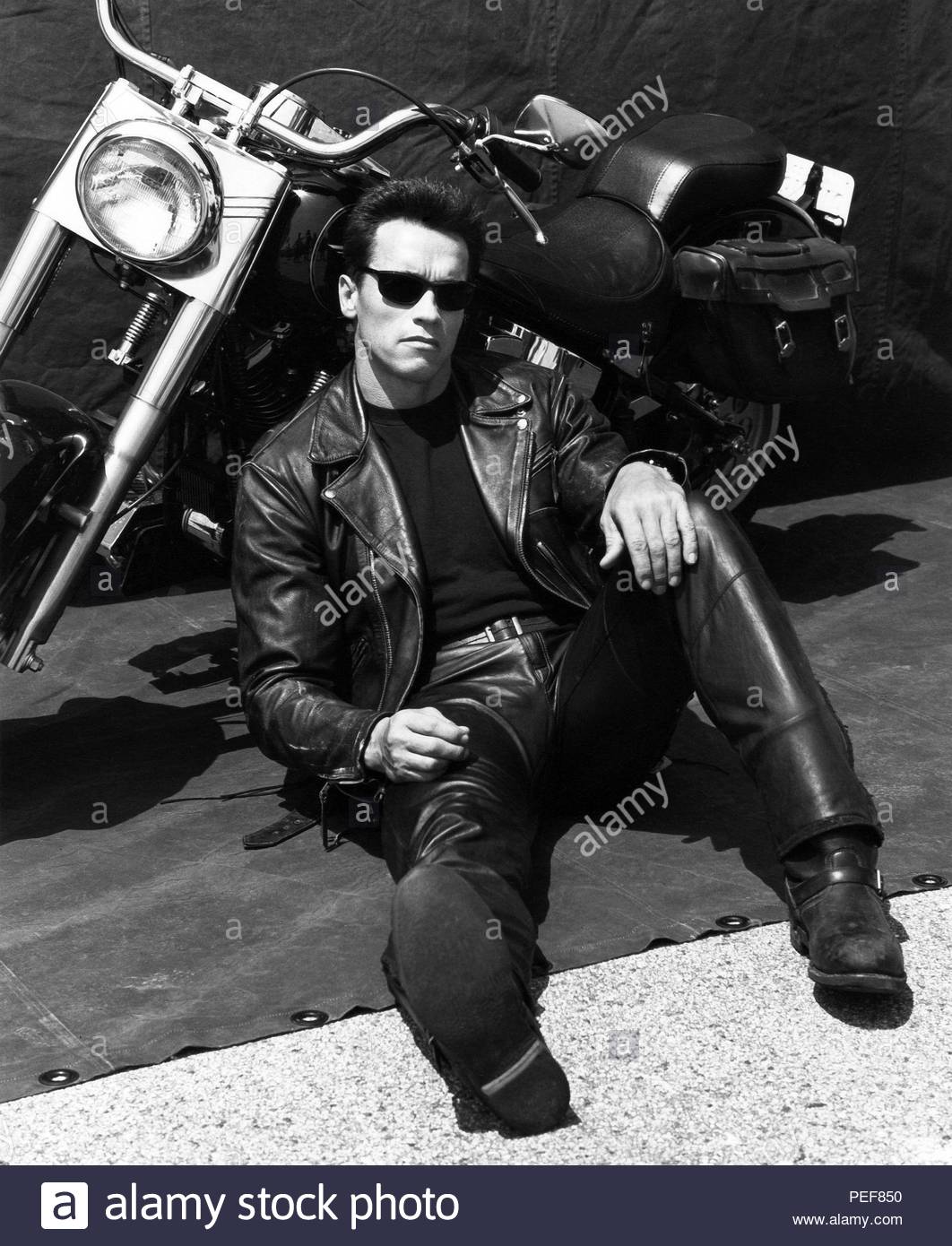 Judgement Day 1991 Arnold Stock Photos & Judgement Day 1991 Arnold ...