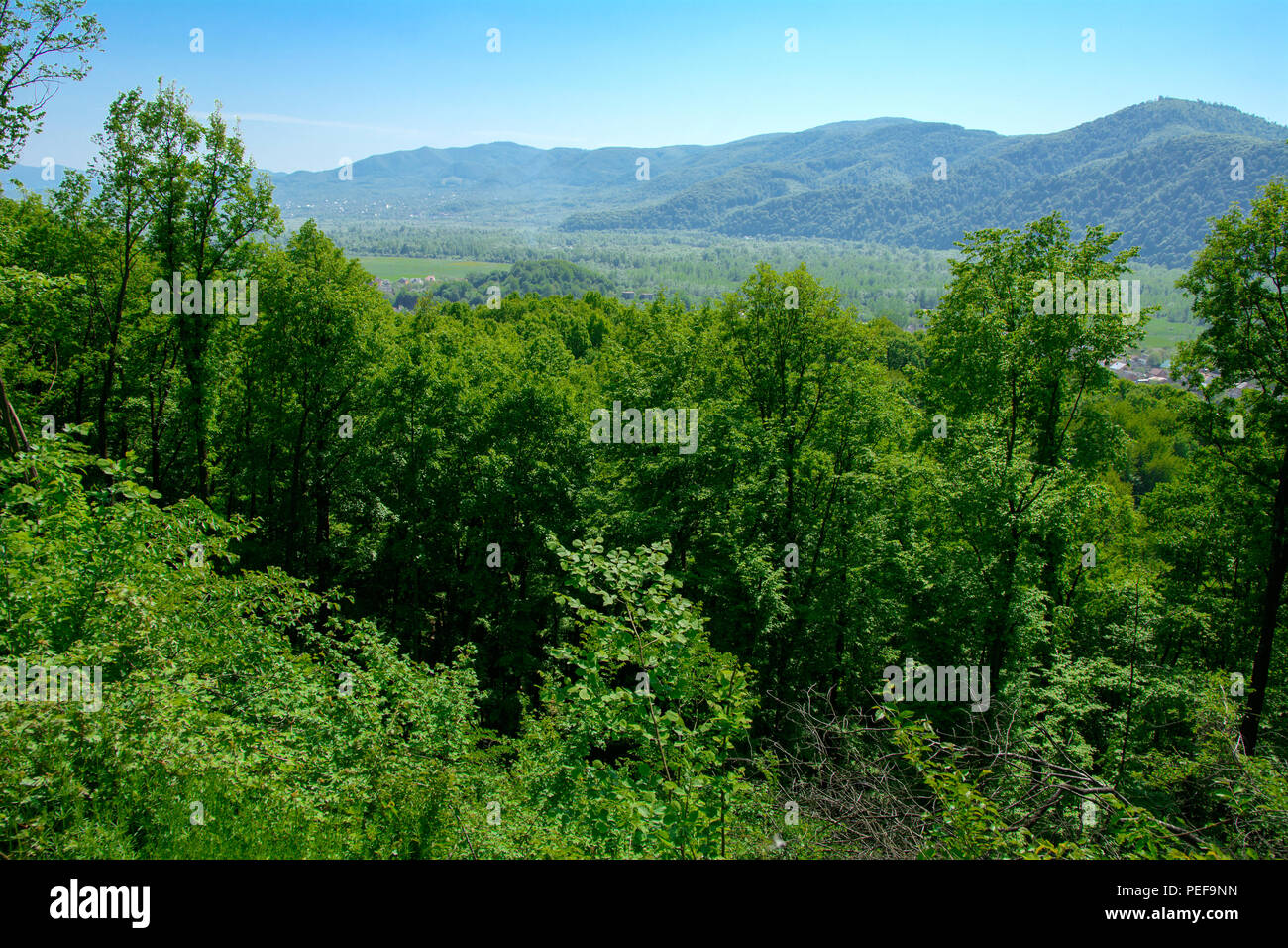 Colorful exalted view from a bird's eye view to houses in residential ...