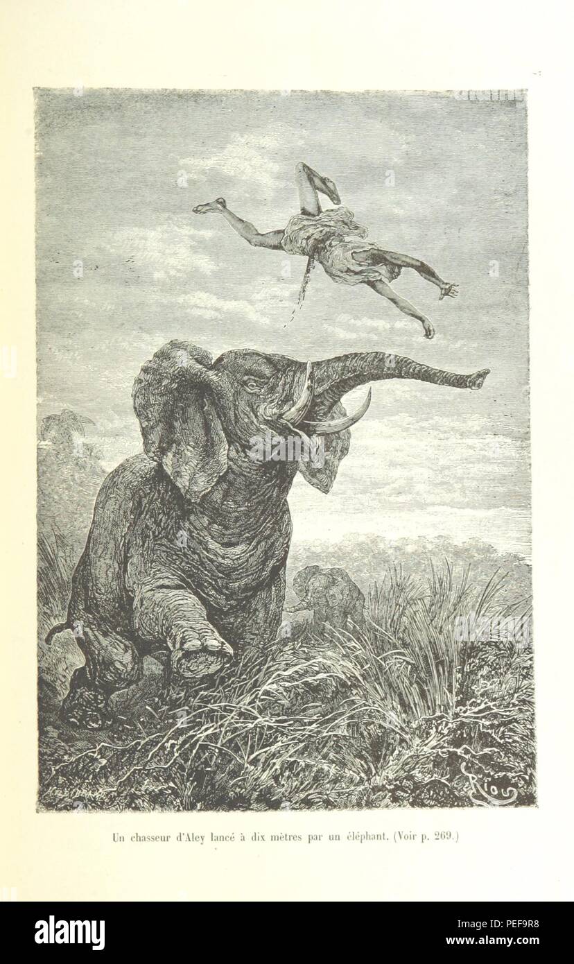 Image taken from page 283 of 'Les Lacs de l'Afrique E u0301quatoriale ...