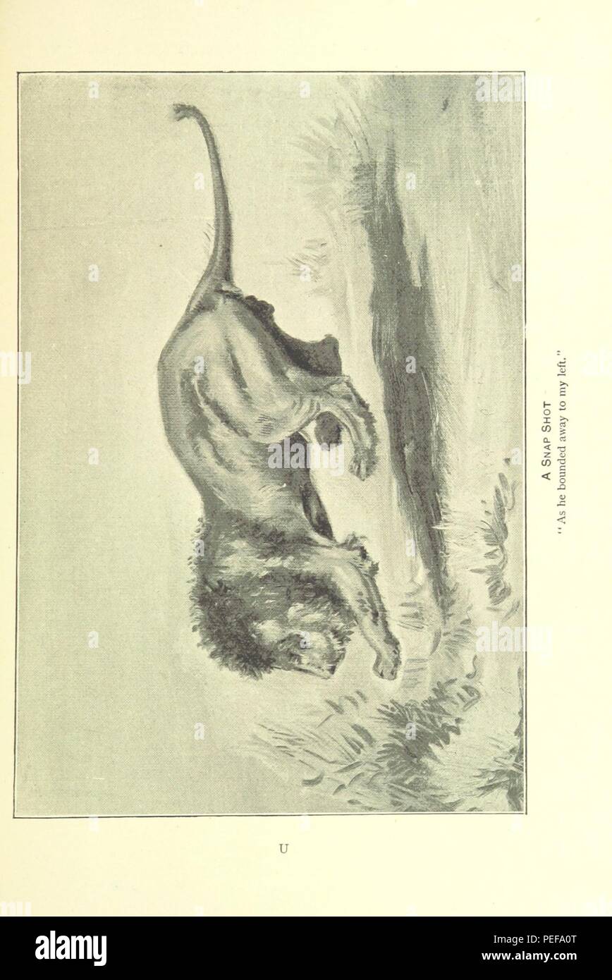 Image taken from page 313 of 'Seventeen Trips through Soma u0301liland ...