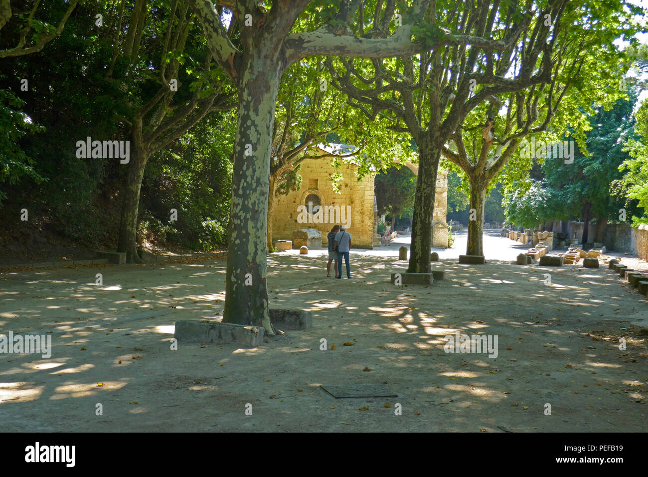 L'Alyscamps necropolis, Arles, south of France Stock Photo - Alamy