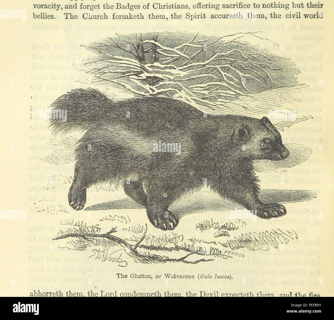 Image taken from page 508 of 'Beeton's Historical Romances, Daring ...
