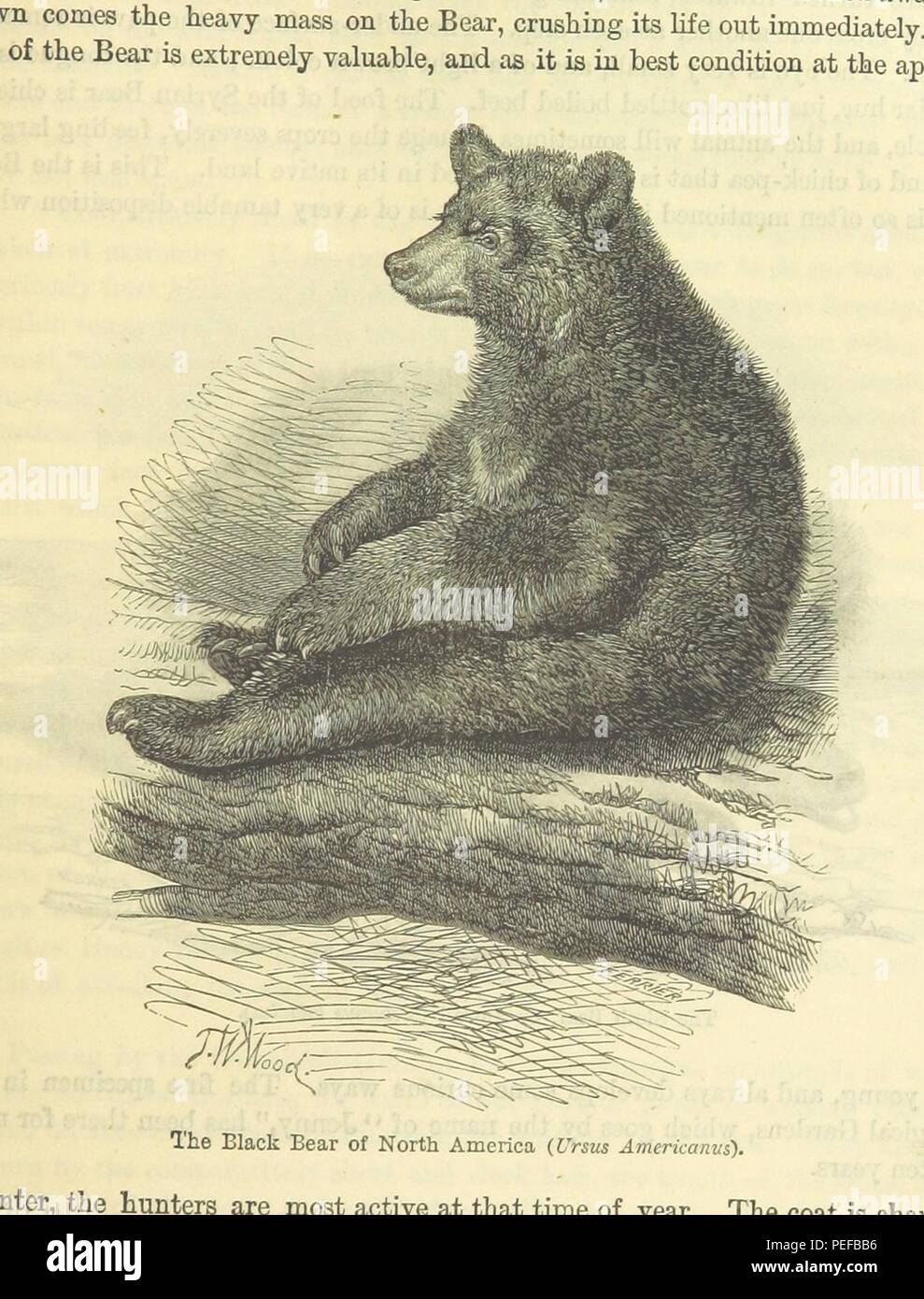 Image taken from page 517 of 'Beeton's Historical Romances, Daring ...
