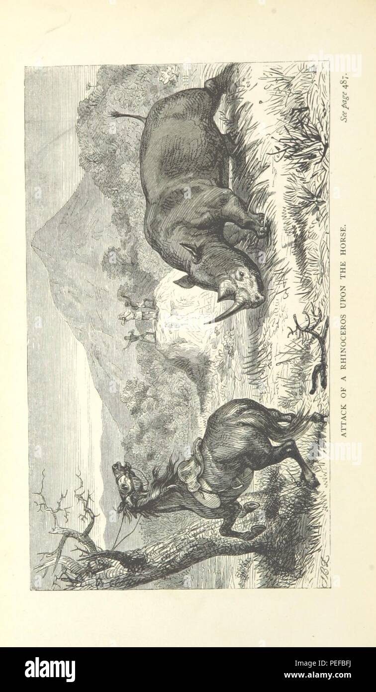 Image taken from page 566 of 'The Nile Tributaries of Abyssinia, and ...
