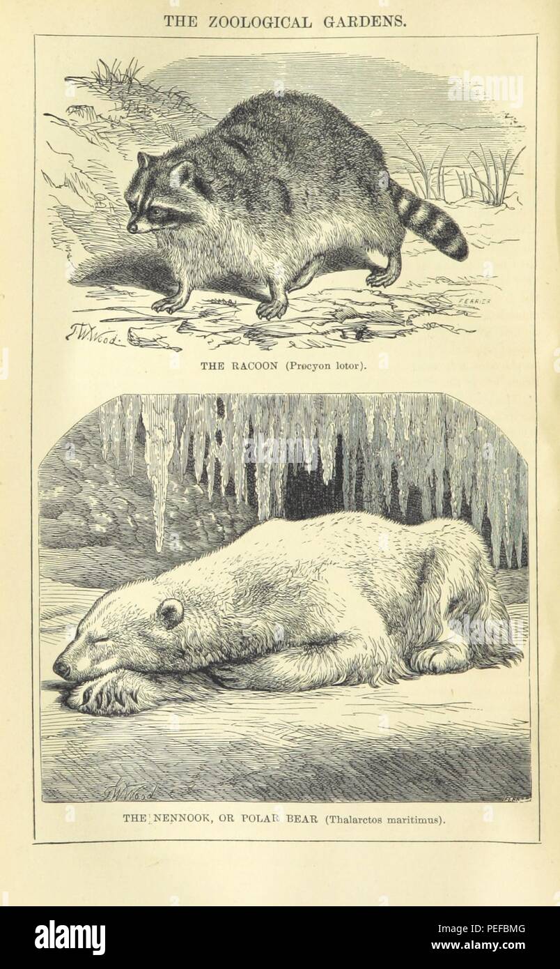 Image taken from page 642 of 'Beeton's Historical Romances, Daring ...