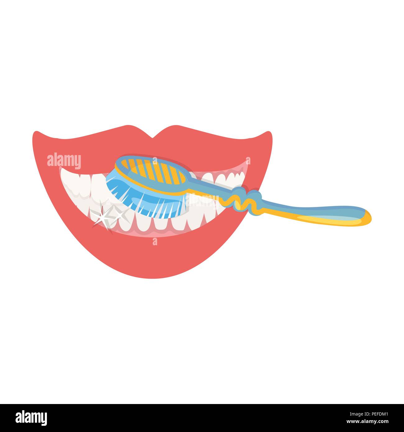 Single Teeth Vector