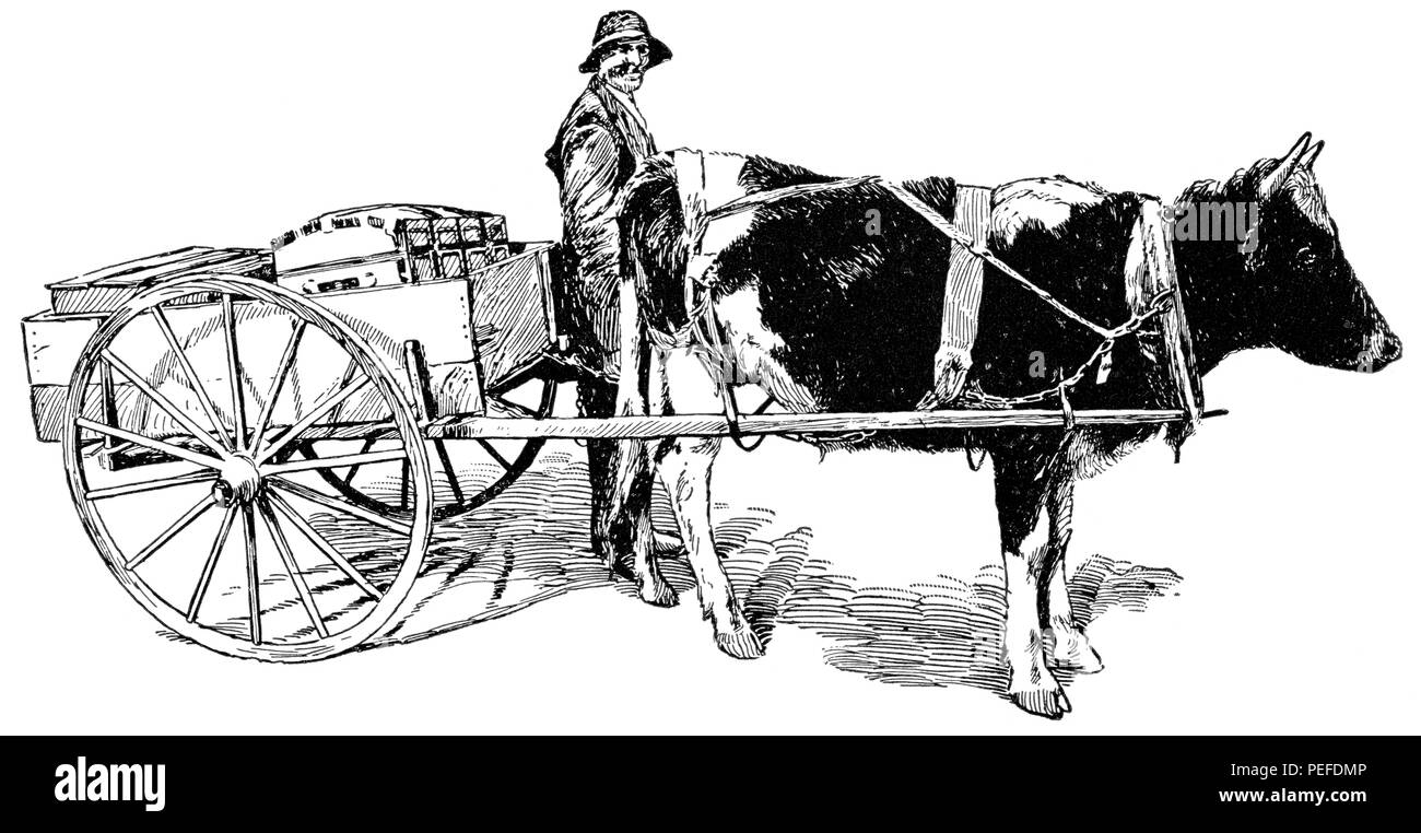 Ox carriage hi-res stock photography and images - Alamy