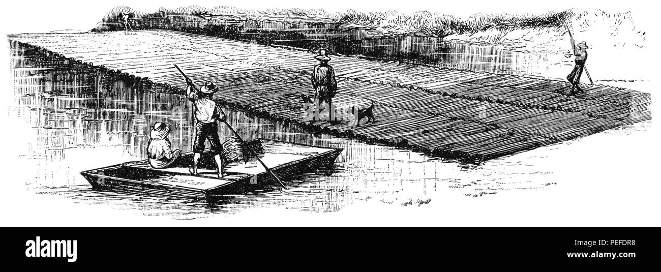 19th century logging hi-res stock photography and images - Alamy