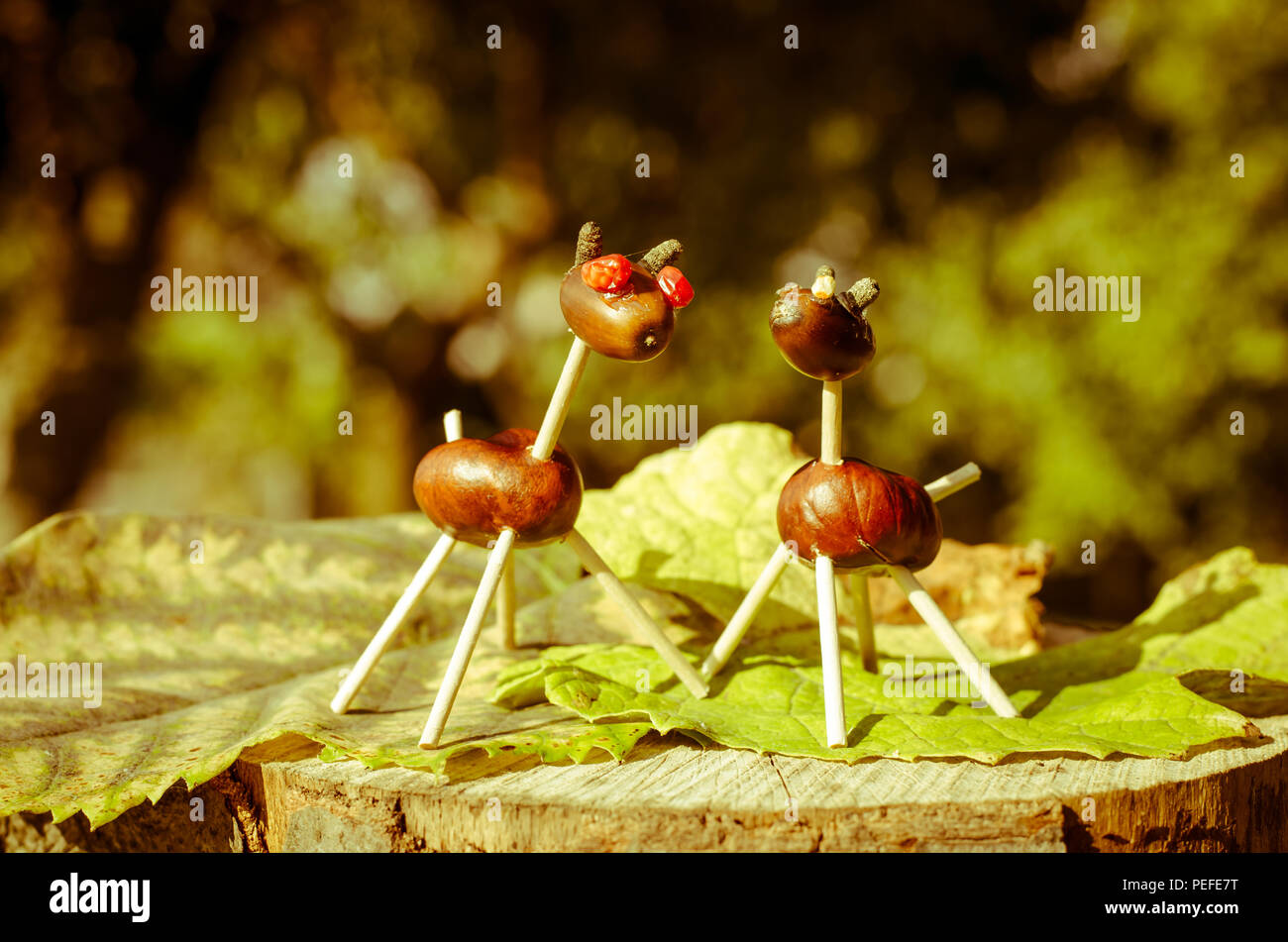 creative funny animal figure made from chestnut and acorns with briar ...