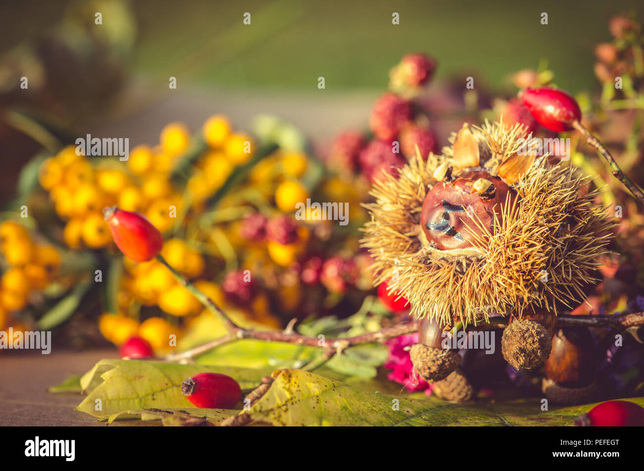 cute fantasy figures made from autumn fruits and vegetables posing ...