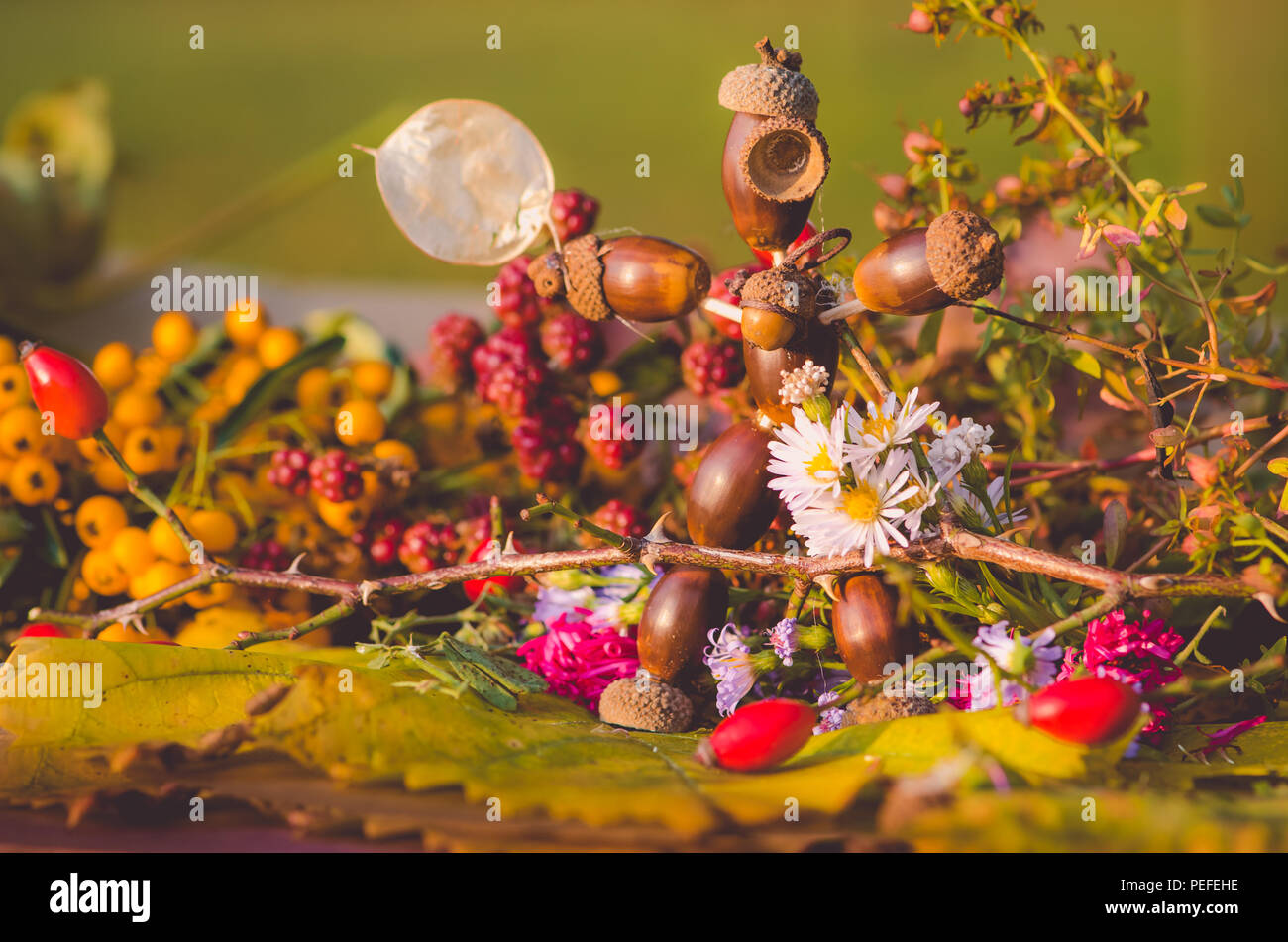 cute fantasy figures made from autumn fruits and vegetables posing ...