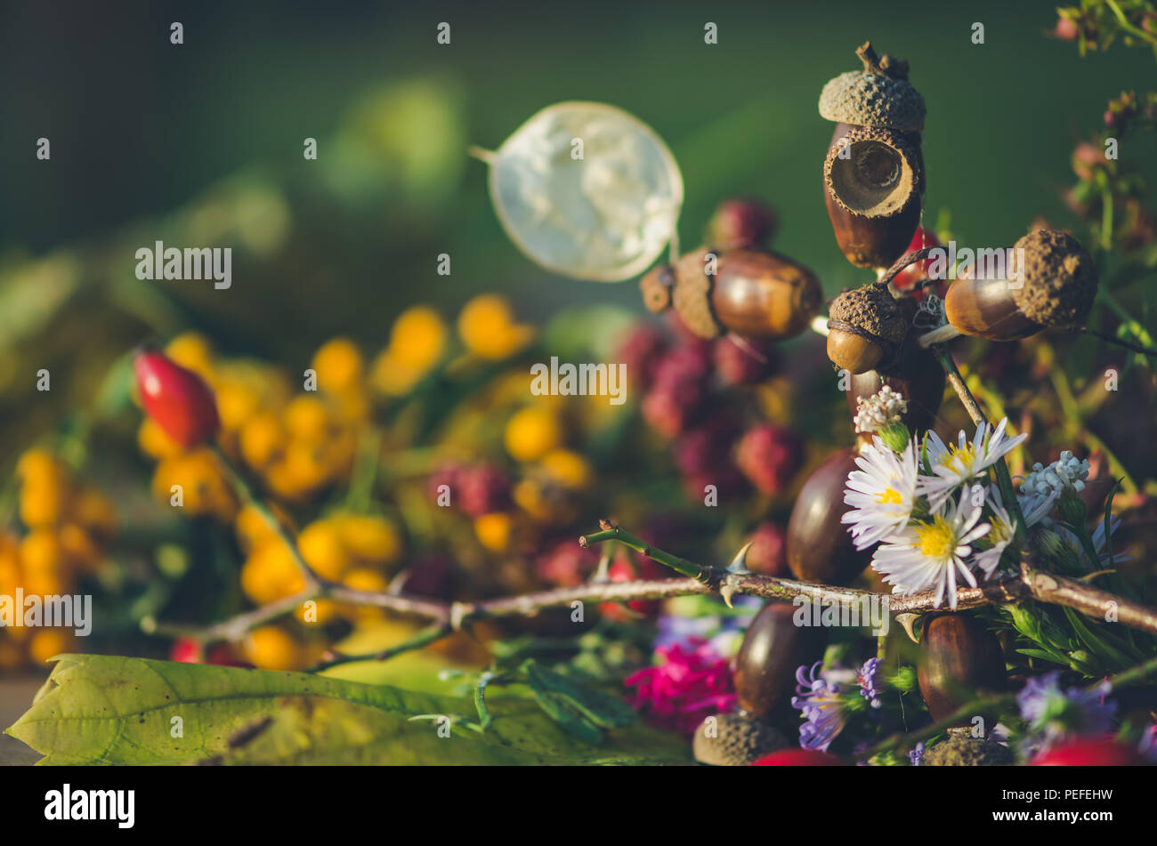 cute fantasy figures made from autumn fruits and vegetables posing ...