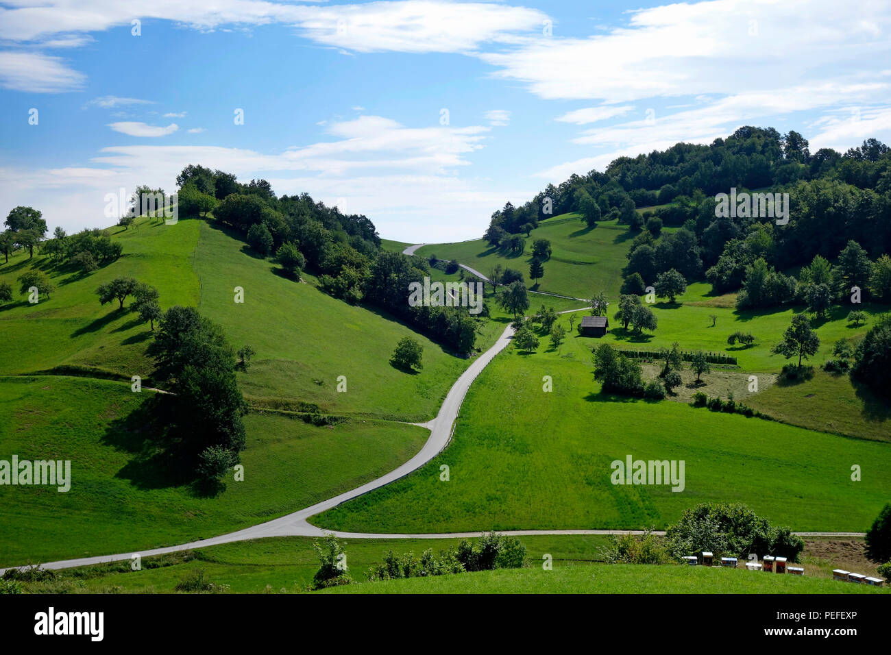 A winding road trough Slovenian Steiermark landscape. Presečno ...