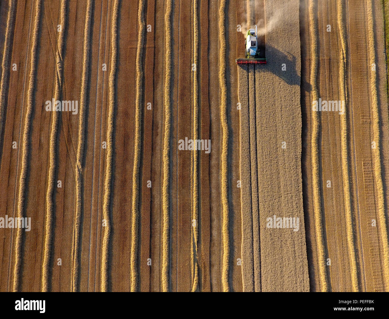Corn dust dry hi-res stock photography and images - Alamy