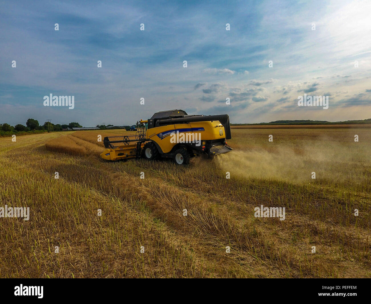 Combine harvester harvesting a field of corn / barley in the summer ...