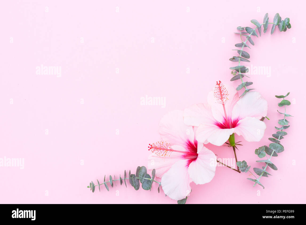 Wellness background with hibiscus flower Stock Photo - Alamy