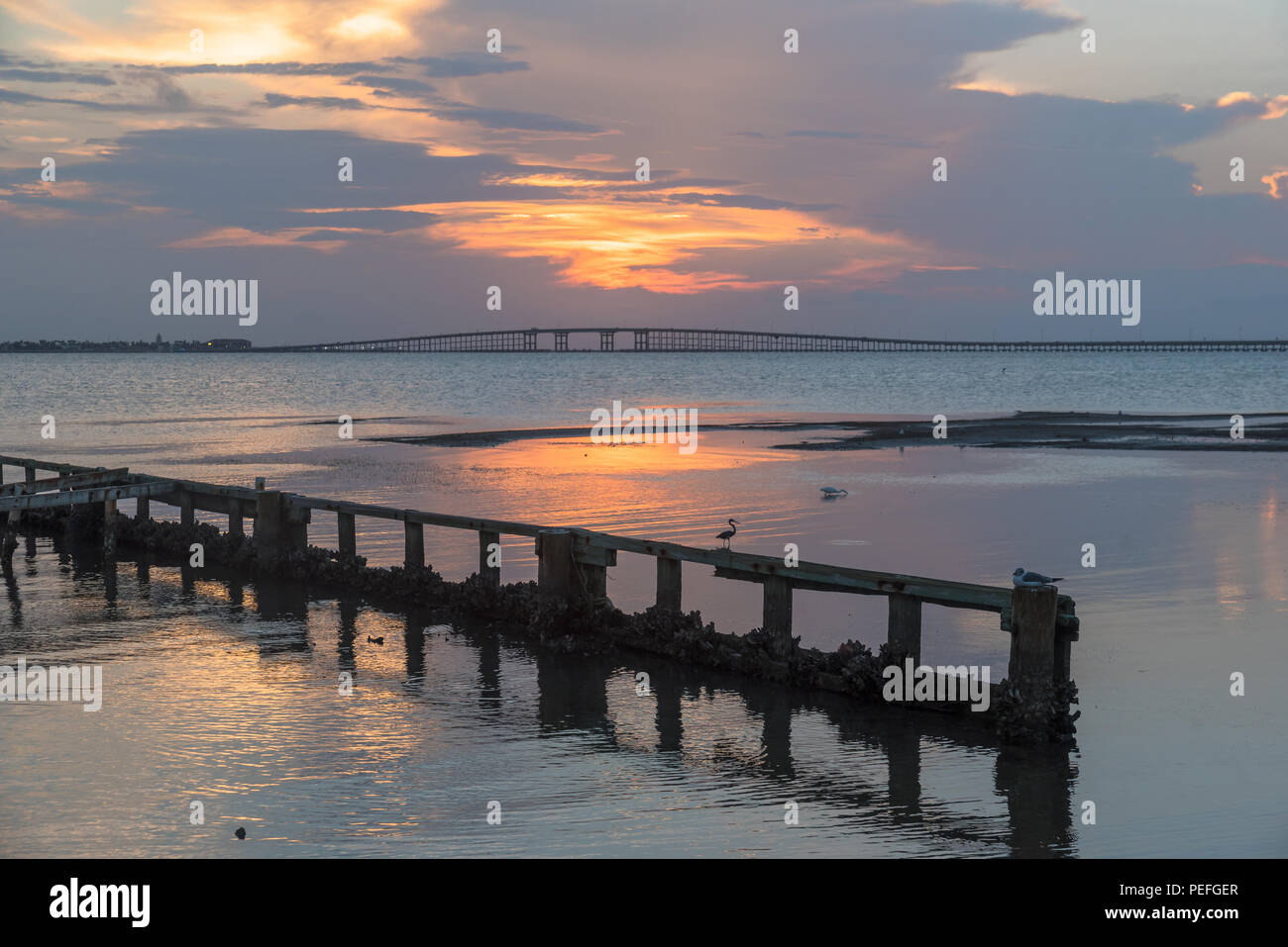 Lake Corpus Christi Beach Sunrise