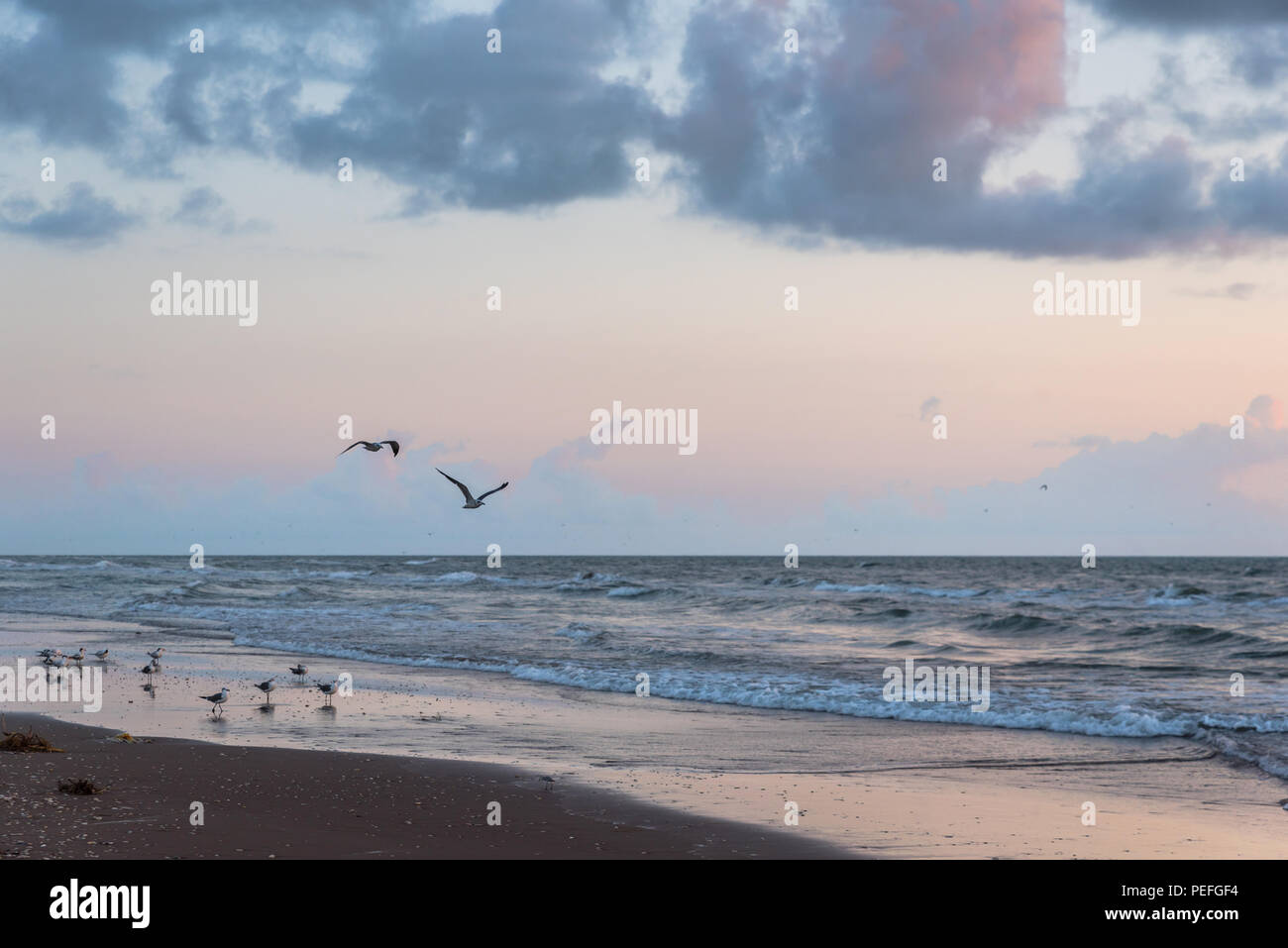 Gulf coast beach texas family hi-res stock photography and images - Alamy