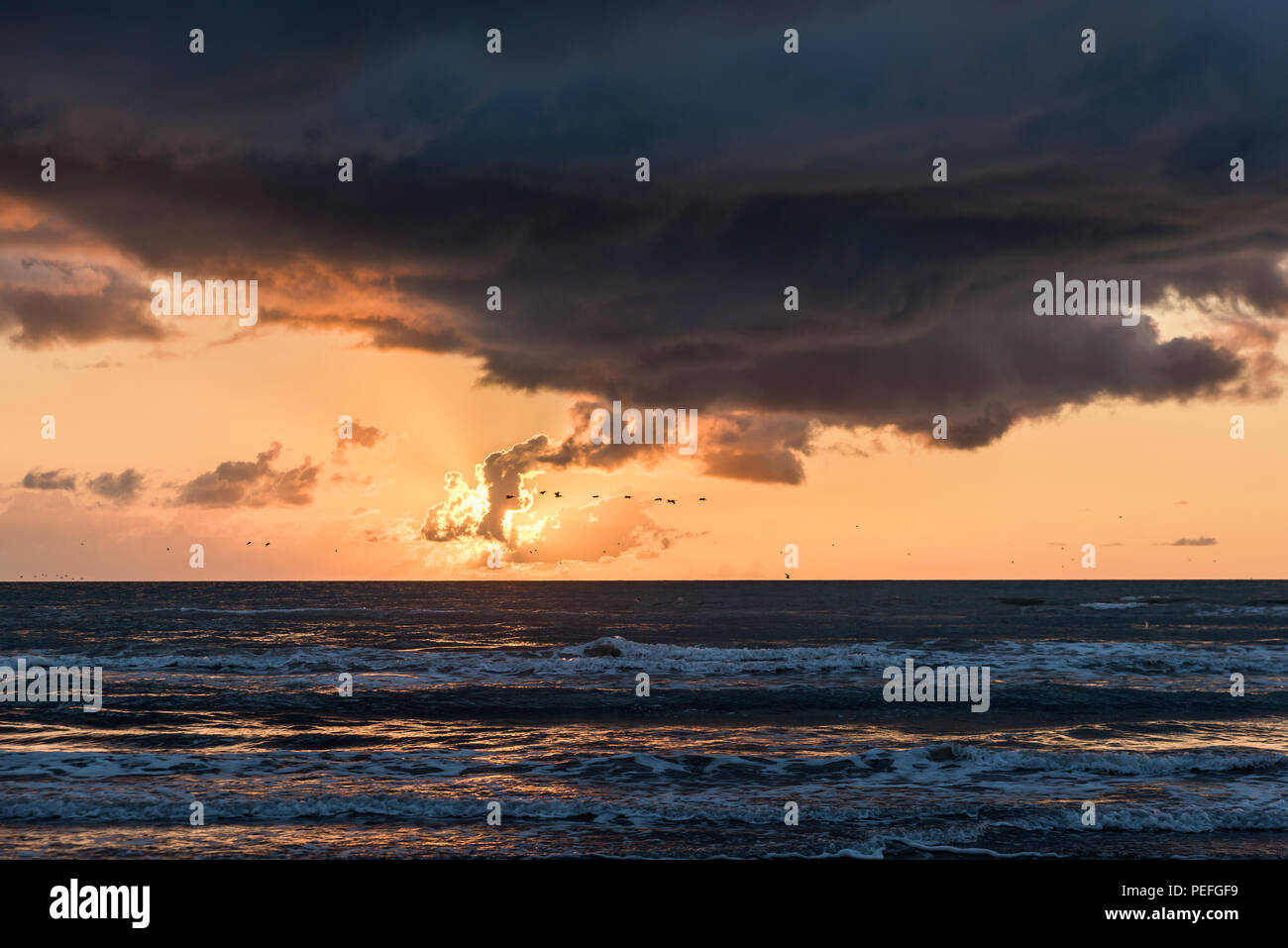 Beach on Texas Gulf Coast at sunrise Stock Photo - Alamy
