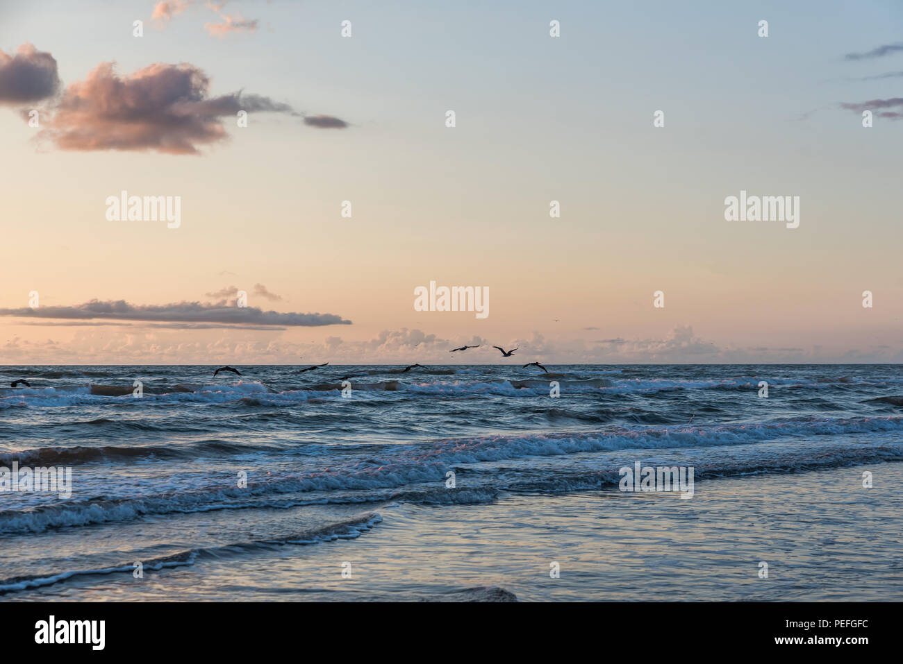 Gulf coast beach texas family hi-res stock photography and images - Alamy