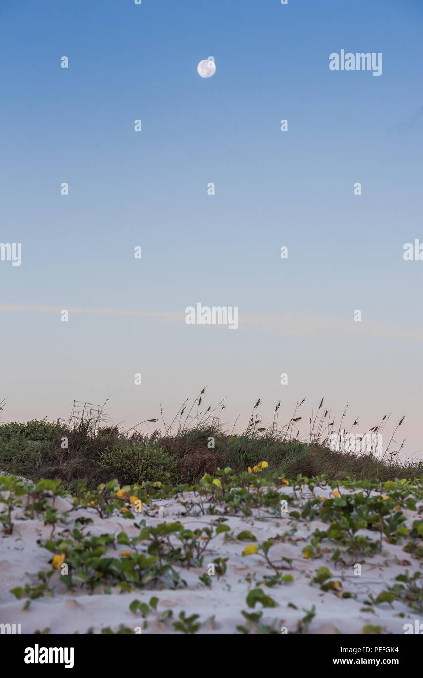 Beach on Texas Gulf Coast at sunrise Stock Photo - Alamy