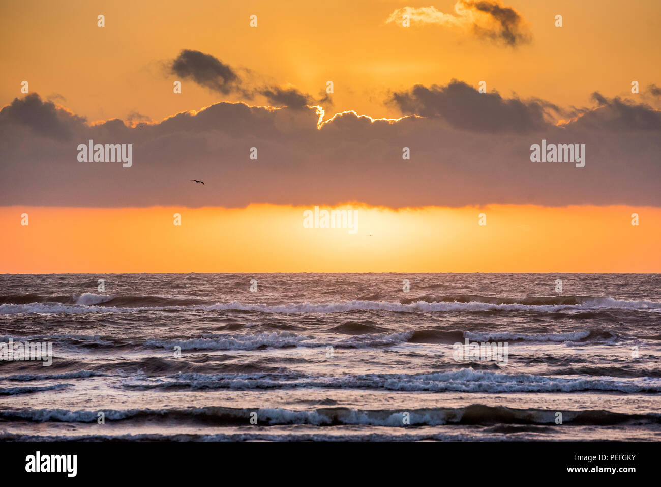 Beach on Texas Gulf Coast at sunrise Stock Photo - Alamy
