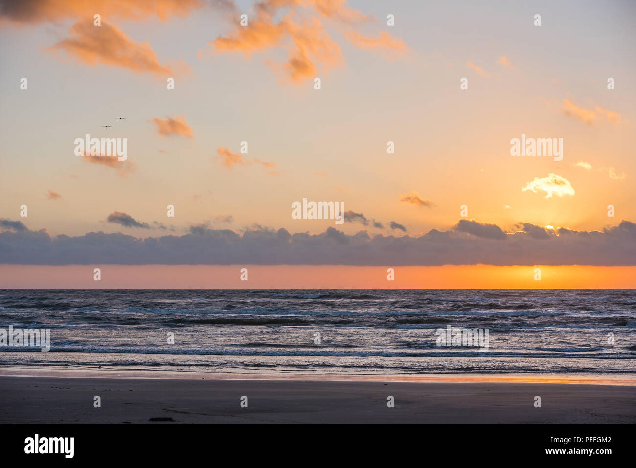 Beach on Texas Gulf Coast at sunrise Stock Photo - Alamy