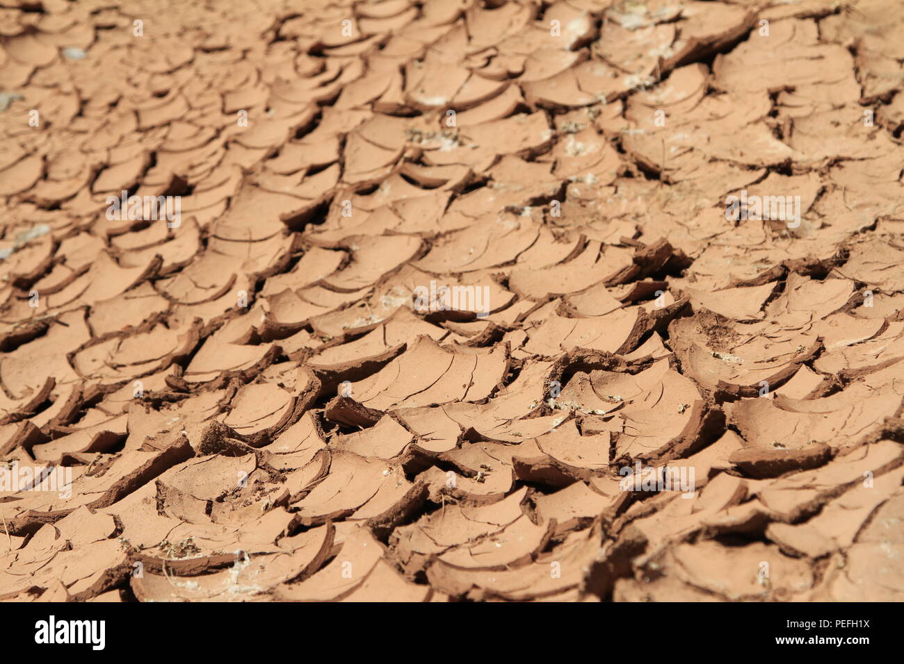 Parched earth hi-res stock photography and images - Alamy