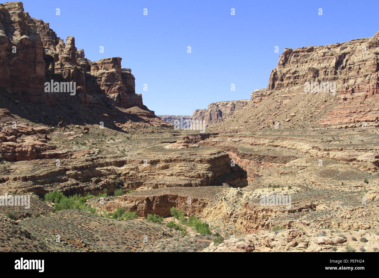 Bears ears national monument hi-res stock photography and images - Alamy