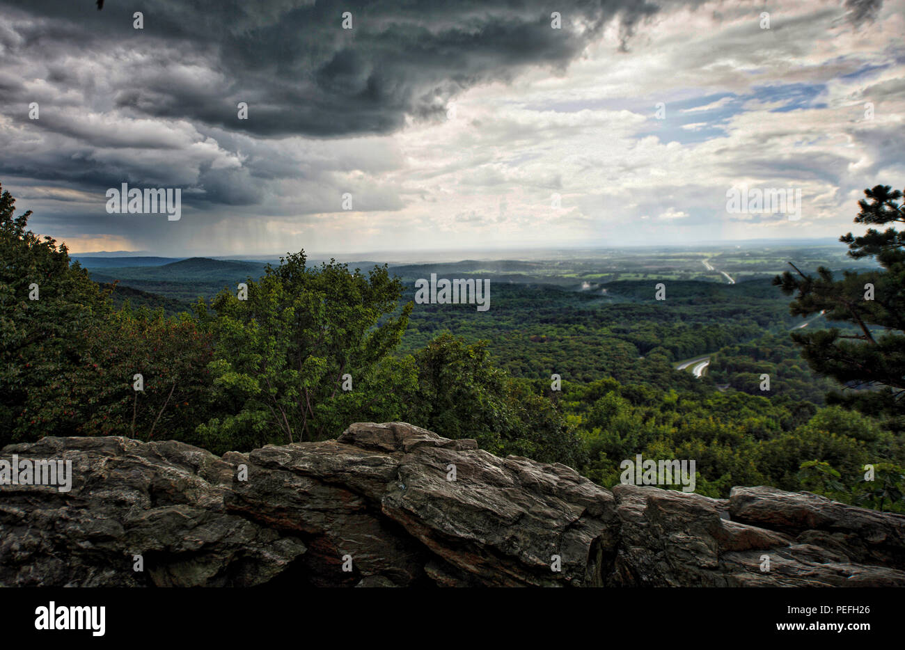 Bears den hi-res stock photography and images - Alamy