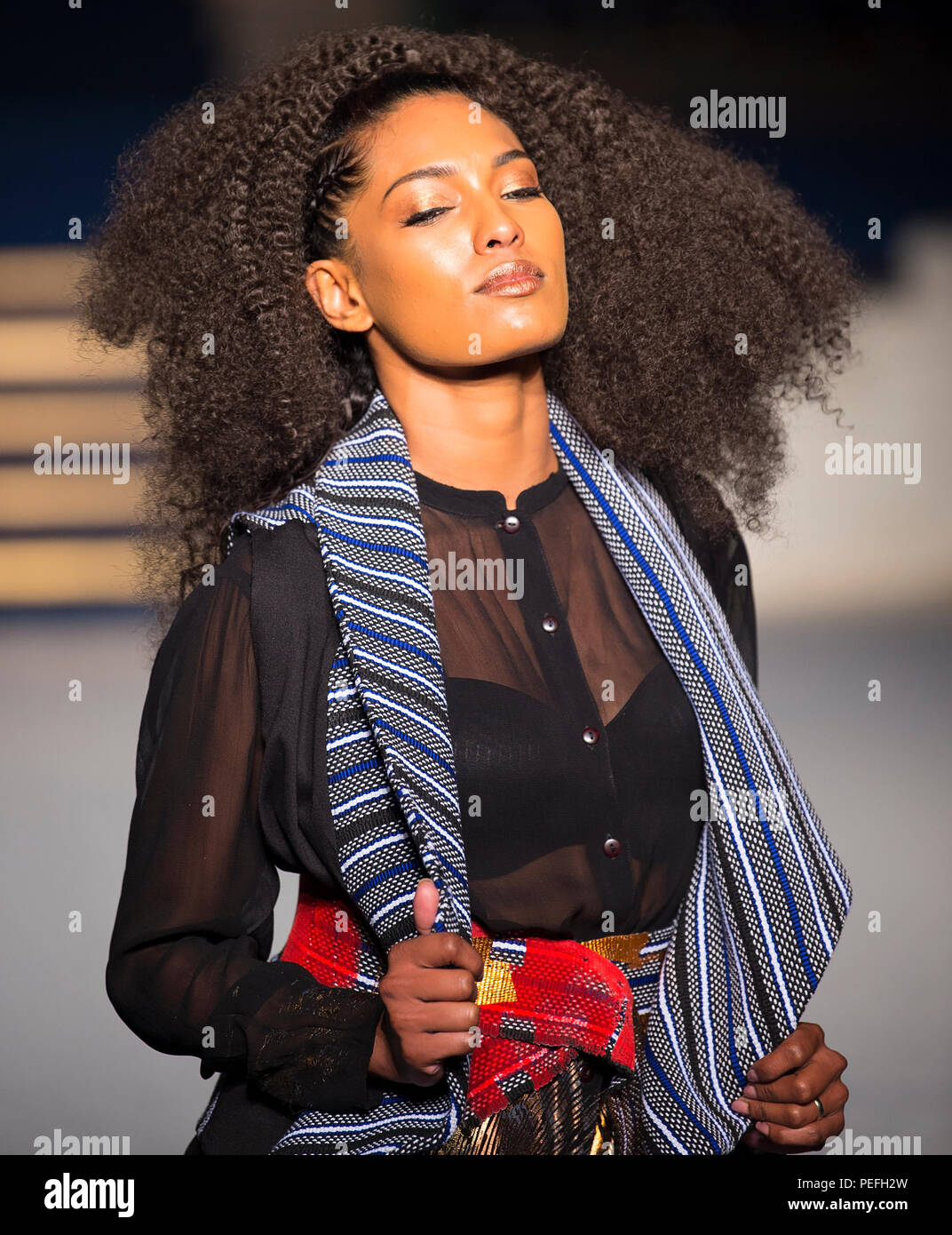 Africa Fashion Show 2018. Model images taken from press pit by ...