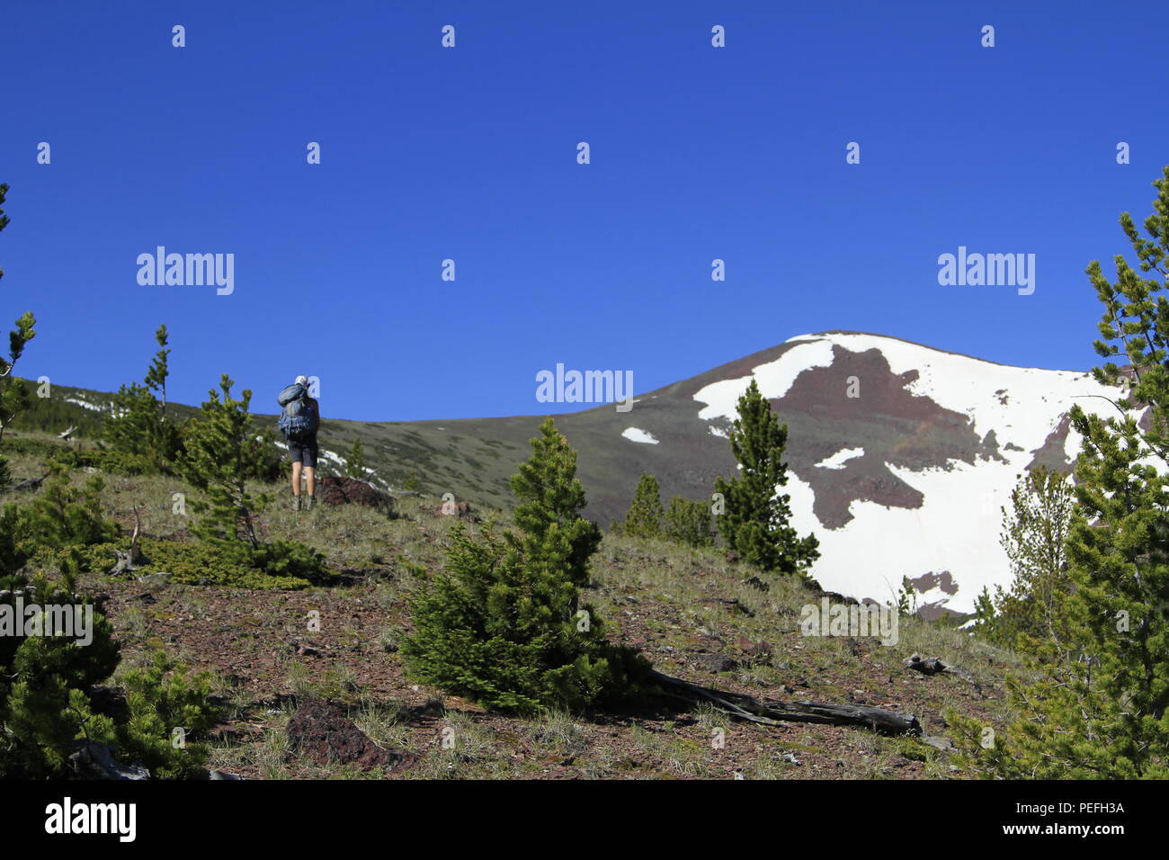 Scapegoat mountain hi-res stock photography and images - Alamy