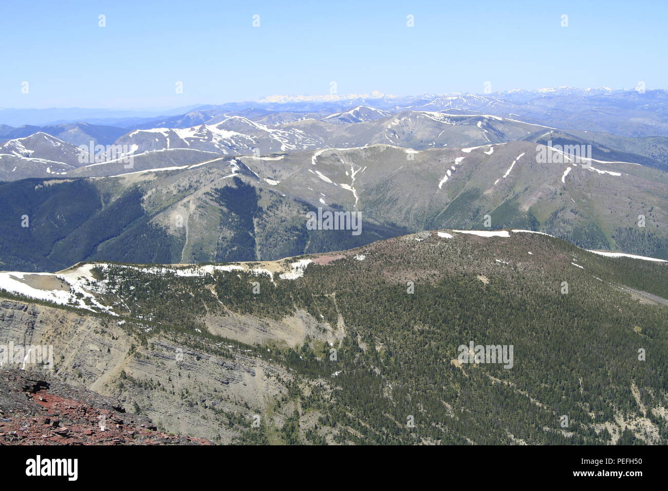 Scapegoat hi-res stock photography and images - Alamy