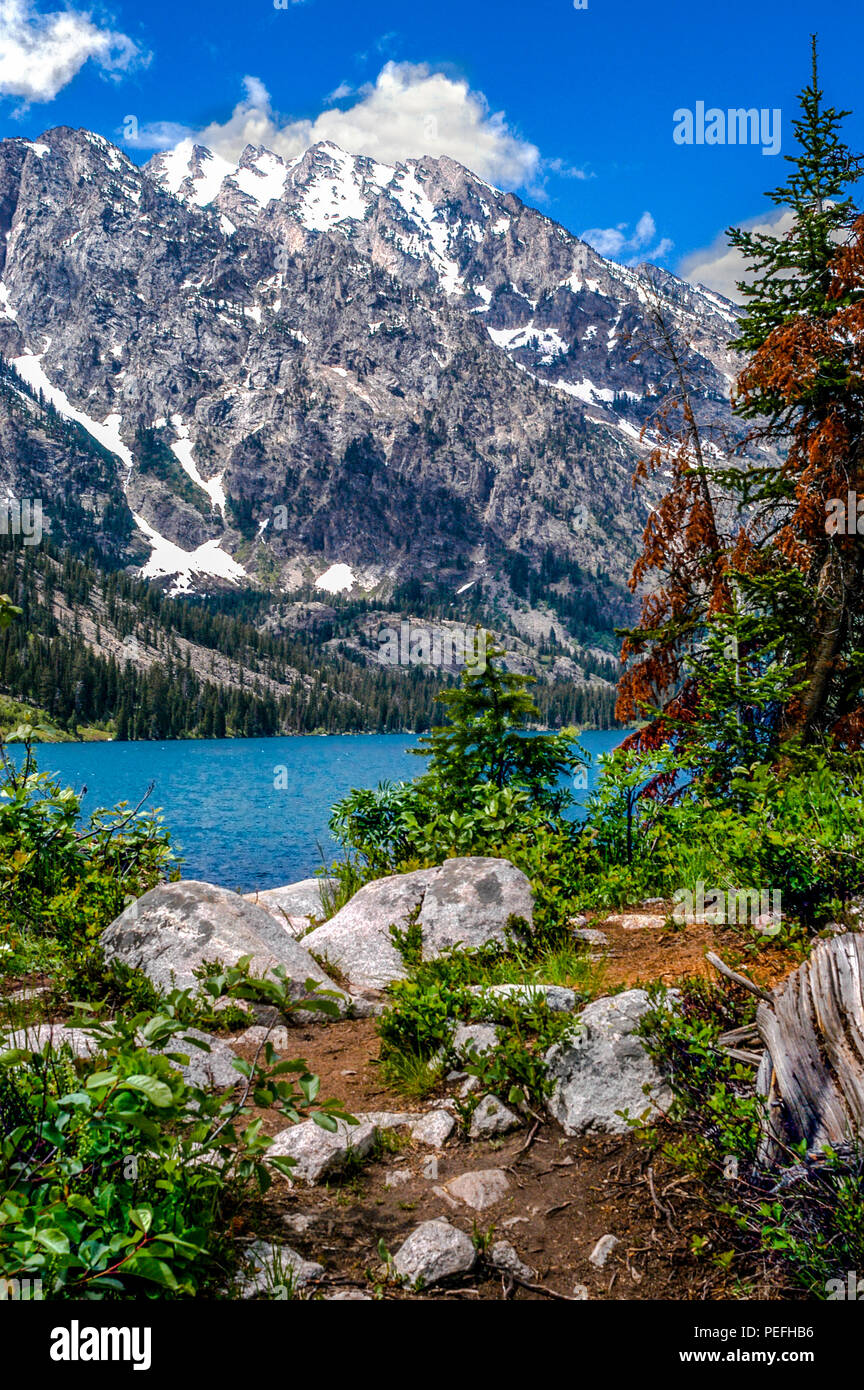 Jenny lake Trail View Stock Photo - Alamy