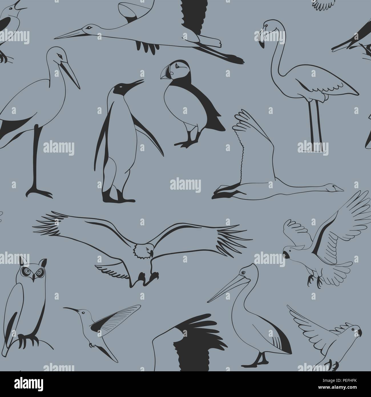 Seamless pattern birds hand drawn, vector Stock Vector Image & Art - Alamy