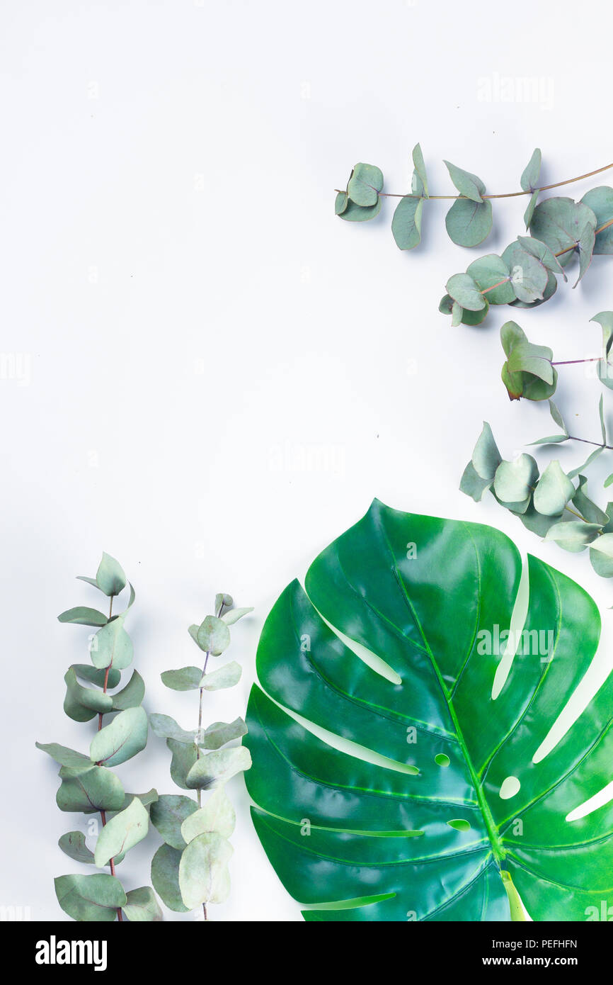 fresh green leaf Stock Photo - Alamy